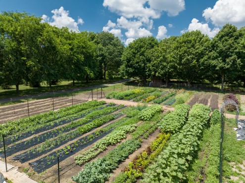 Building Vibrant Communities | Patronicity